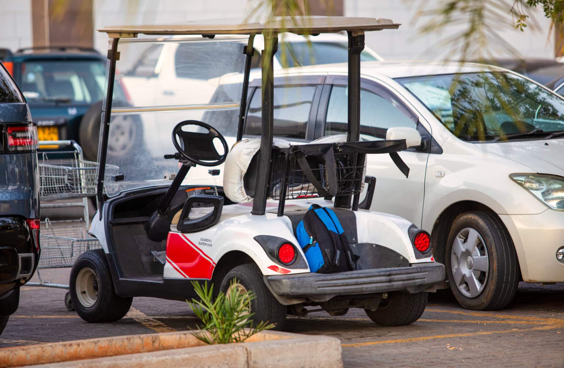 Protect Your Ride: The Ultimate Guide to Golf Cart Locks & Theft ...